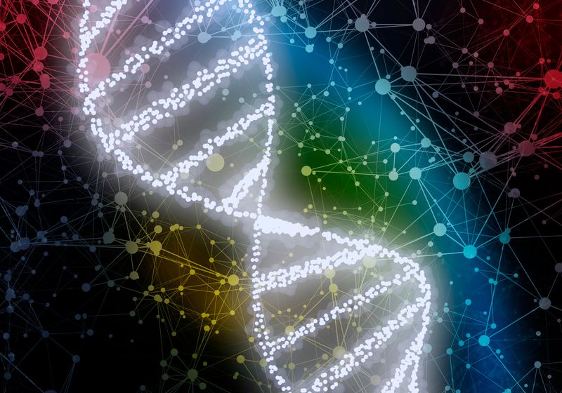 Emerging 3D DNA Structure Technology Powers Genomic Discovery | The Scientist