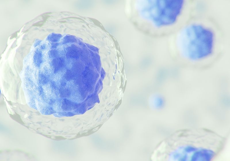 CellDrop Automated Cell Counter: Count Cells Without Slides | The Scientist