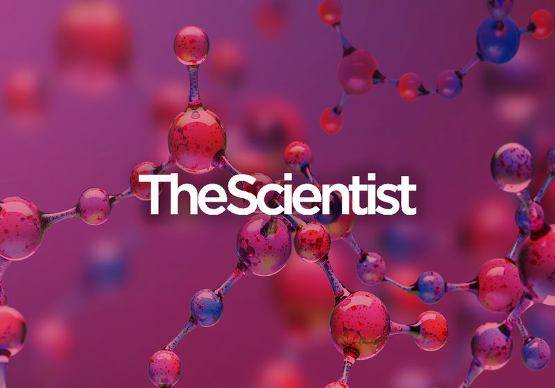 Decoding the Metabolome with Mass Spectrometry | The Scientist