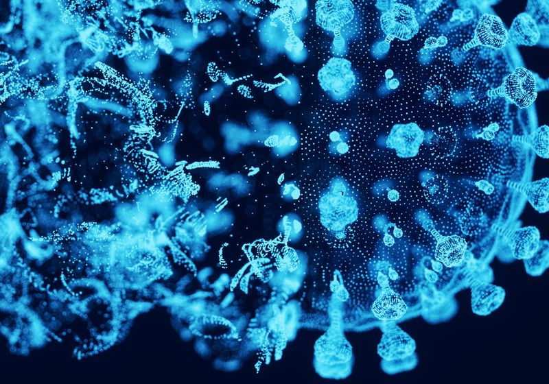 Where Do Viruses Come From? | The Scientist