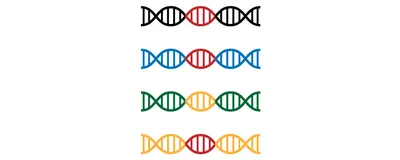 Transposable Elements Could Help Resolve the Tree of Life | The Scientist