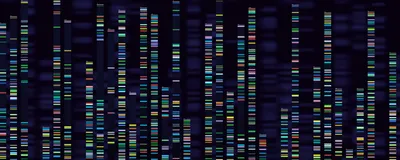 Top Genetics Stories of 2025 | The Scientist