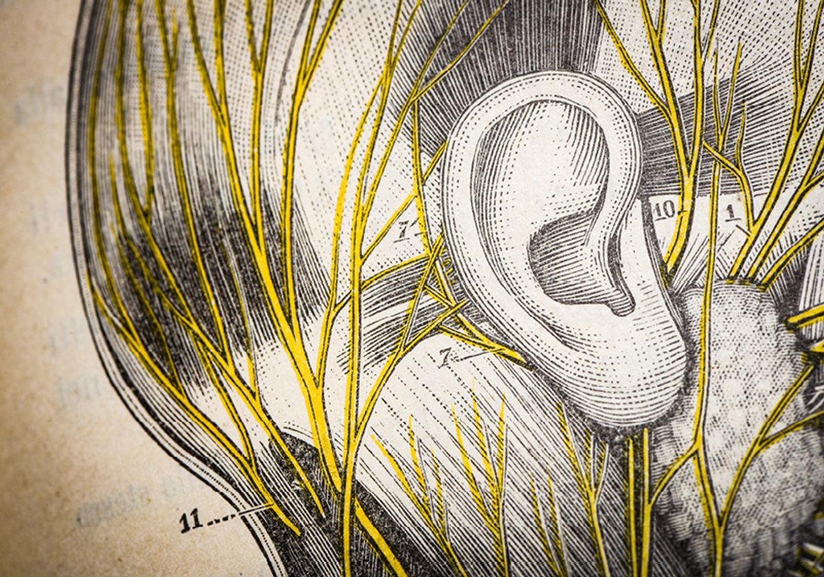 Vagus Nerve Ear Diagram
