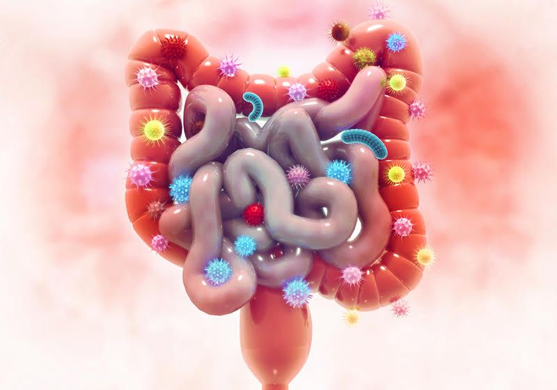 Engineered Gut Bacteria Act as Biosensors to Detect Intestinal Disease ...