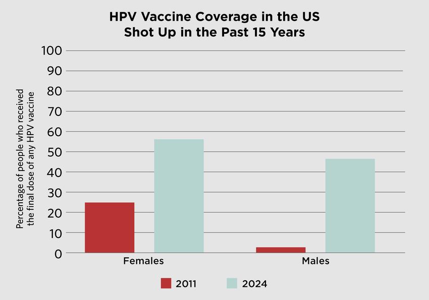 The Cancer Epidemiologist Who Championed HPV Vaccines to End Cervical ...