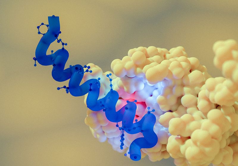 Analytical Solutions for Accelerating Peptide Drug Development | The ...