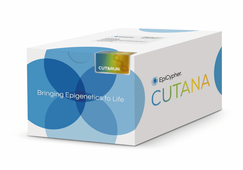 CUTANA™ CUT&RUN Kit: Jump-start your chromatin profiling research ...