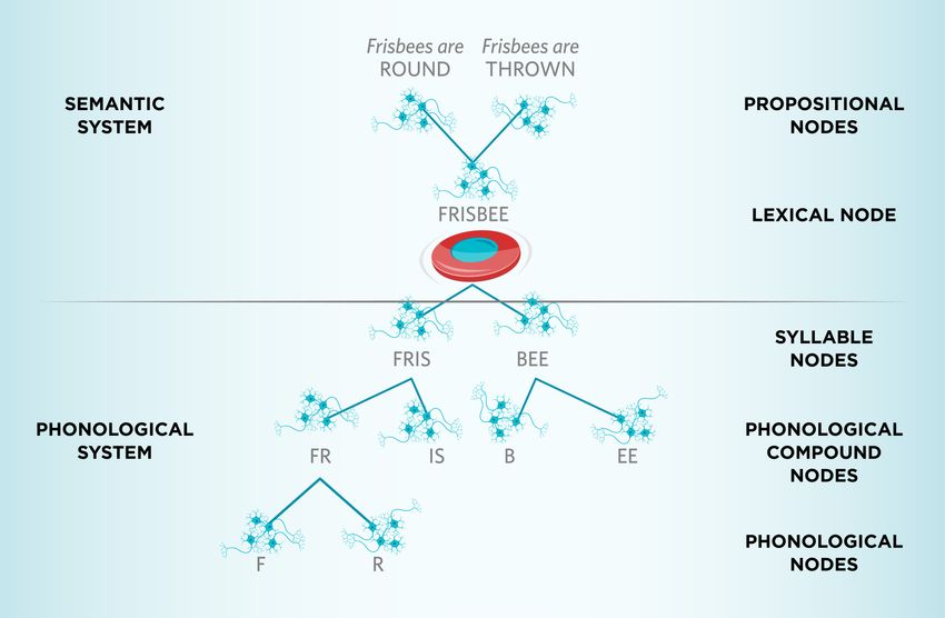 Why Does Repeating a Word Make It Lose Its Meaning? | The Scientist