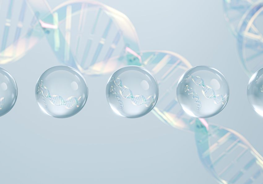 Digital PCR Explained: Absolute Quantification Advantages and ...