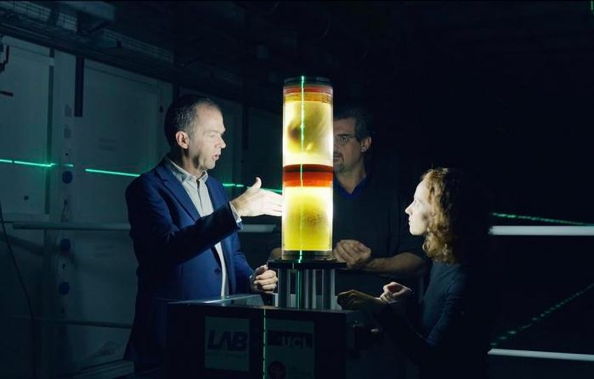 The Human Organ Atlas: A 3D Journey Into the Body | The Scientist