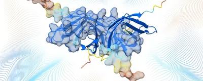 AlphaFold Can Now Predict Protein Complex Structures at Scale | The ...