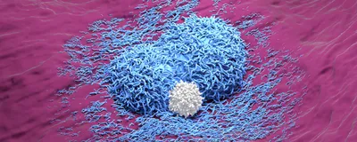 Next-Generation Precision Medicine Platforms Come for Cancer | The ...