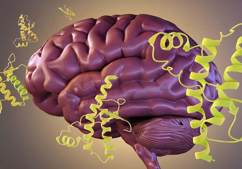Base Editing Silences Prion Protein and Extends Survival in Mice | The ...