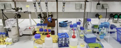 The Lab Chores Scientists Secretly Love | The Scientist