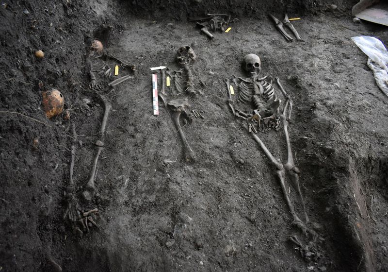 Centuries-Old Skeletons Reveal the Microbes That Consume Bone | The ...
