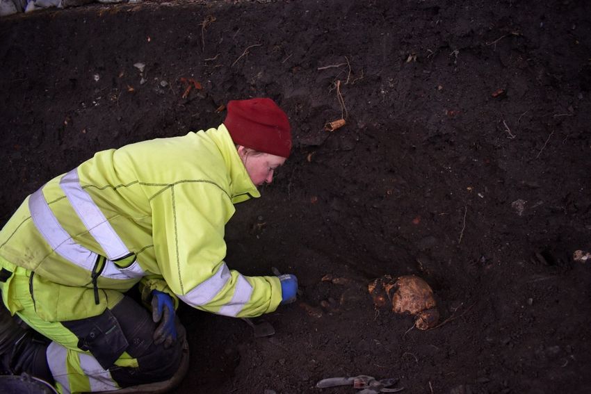Centuries-Old Skeletons Reveal the Microbes That Consume Bone | The ...