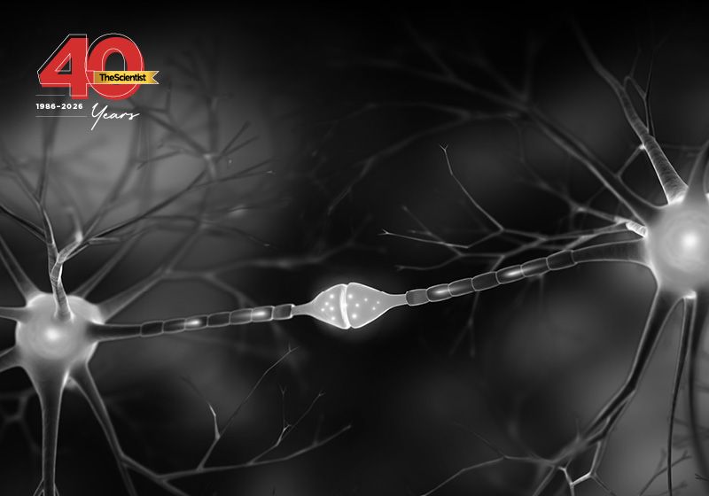 Shining Light on the Evolution of Optogenetics | The Scientist