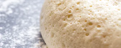 The Rise of Yeast as a Model Organism in Biology | The Scientist
