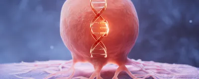 Translating Cancer Biomarker Research | The Scientist