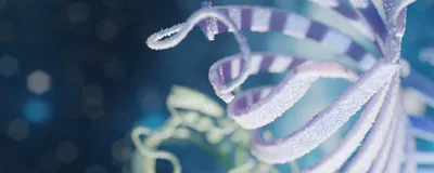 Matching Blots, Mismatched Nanodisc Fractions | The Scientist