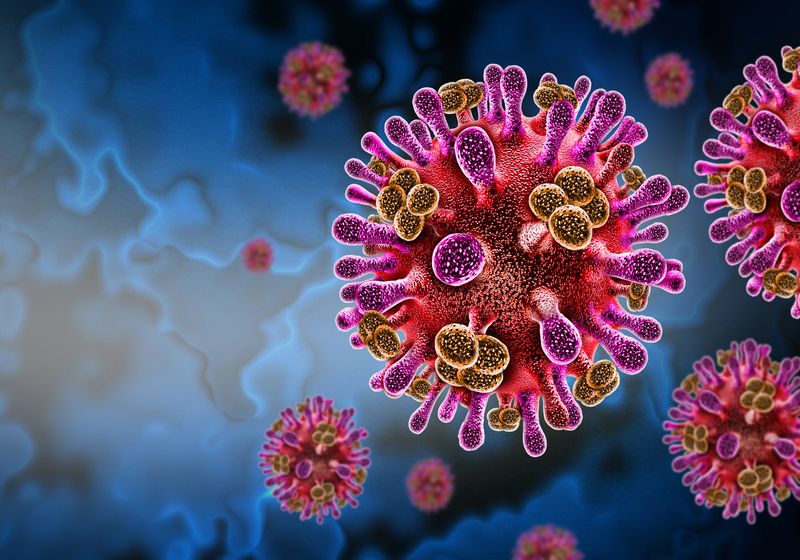 Human Antibodies Neutralize Deadly Henipaviruses in Hamsters | The ...