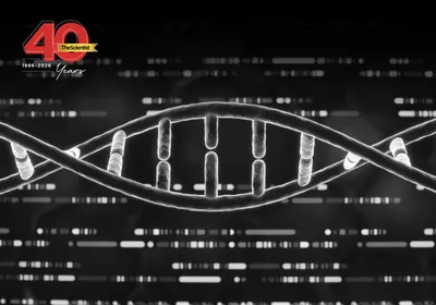 Article | The Scientist