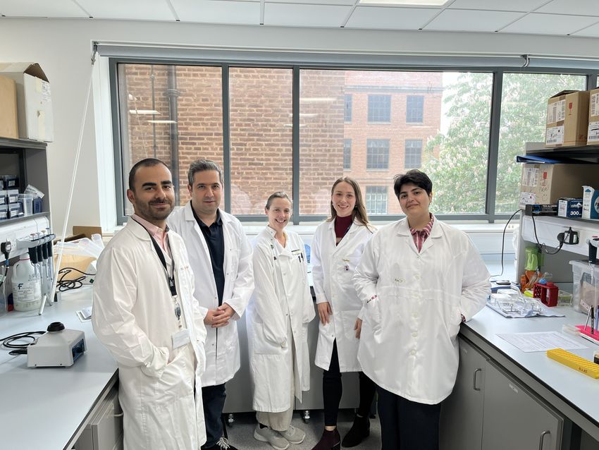 Artificial Blood Vessels and AI Will Help Better Model the Human ...