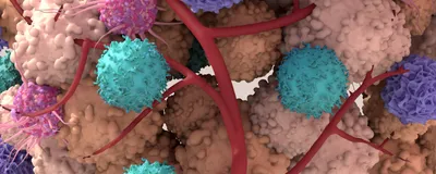 Artificial Blood Vessels and AI Will Help Better Model the Human ...