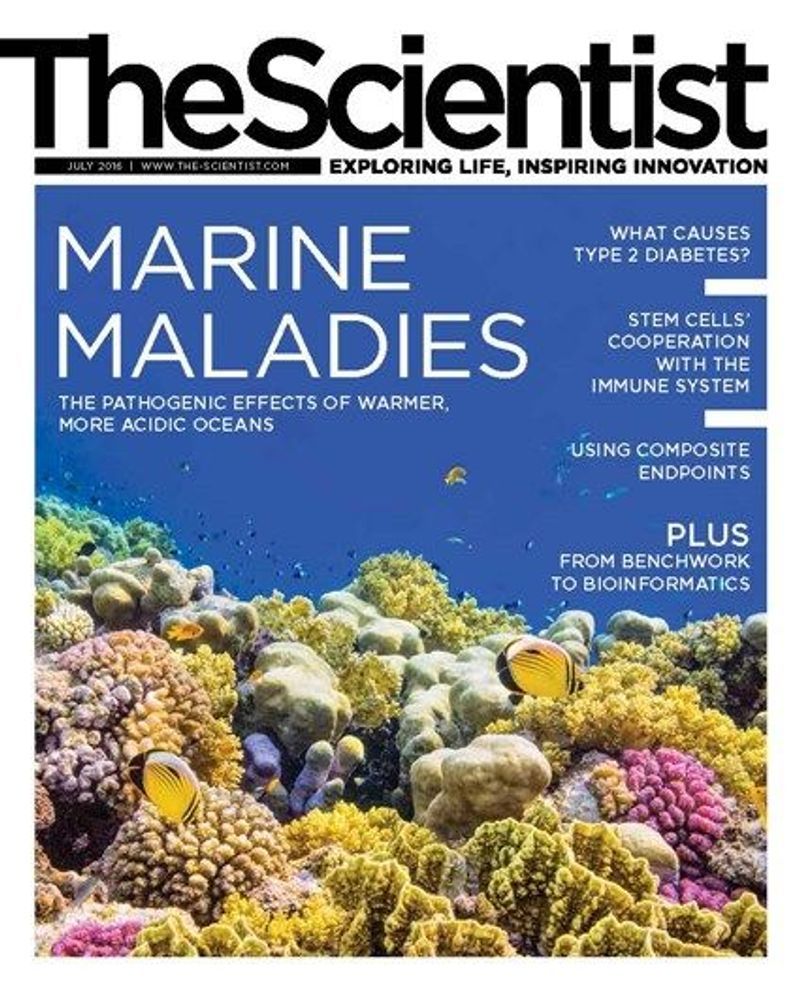 The Scientist Magazine Issue | July 2016 | Marine Maladies | The Scientist