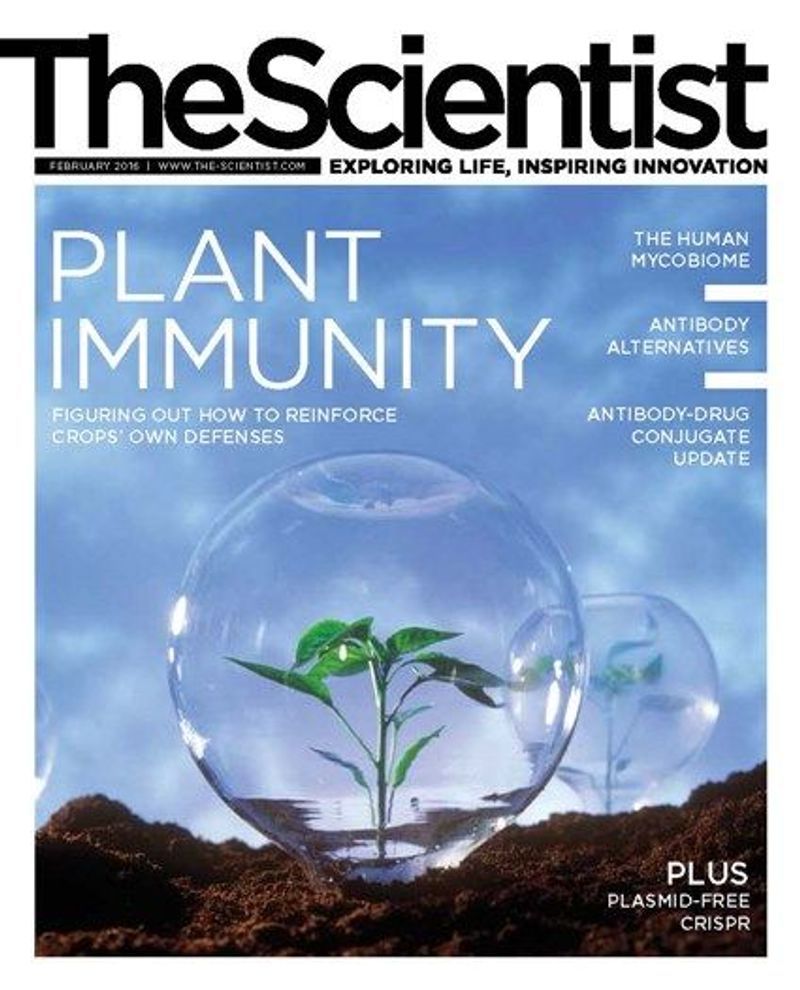 The Scientist Magazine Issue | February 2016 | Plant Immunity | The ...