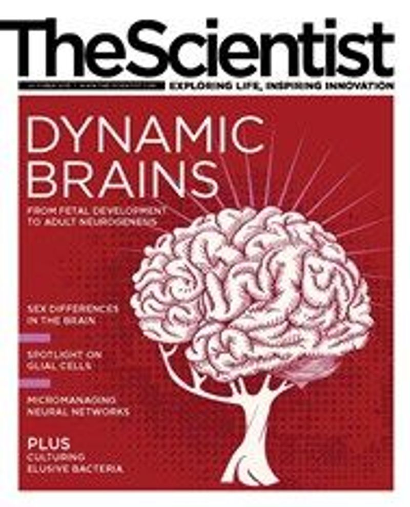 The Scientist Magazine Issue | October 2015 | Dynamic Brains | The ...