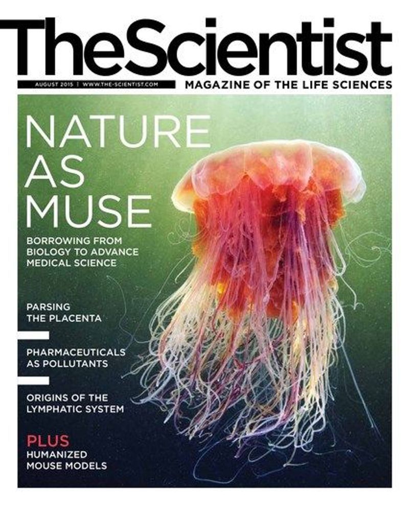 The Scientist Magazine Issue | August 2015 | Nature as Muse | The Scientist