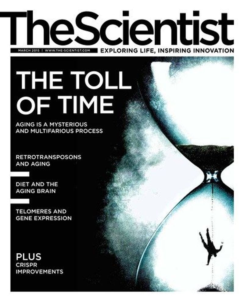 The Scientist Magazine Issue | March 2015 | The Toll of Time | The ...
