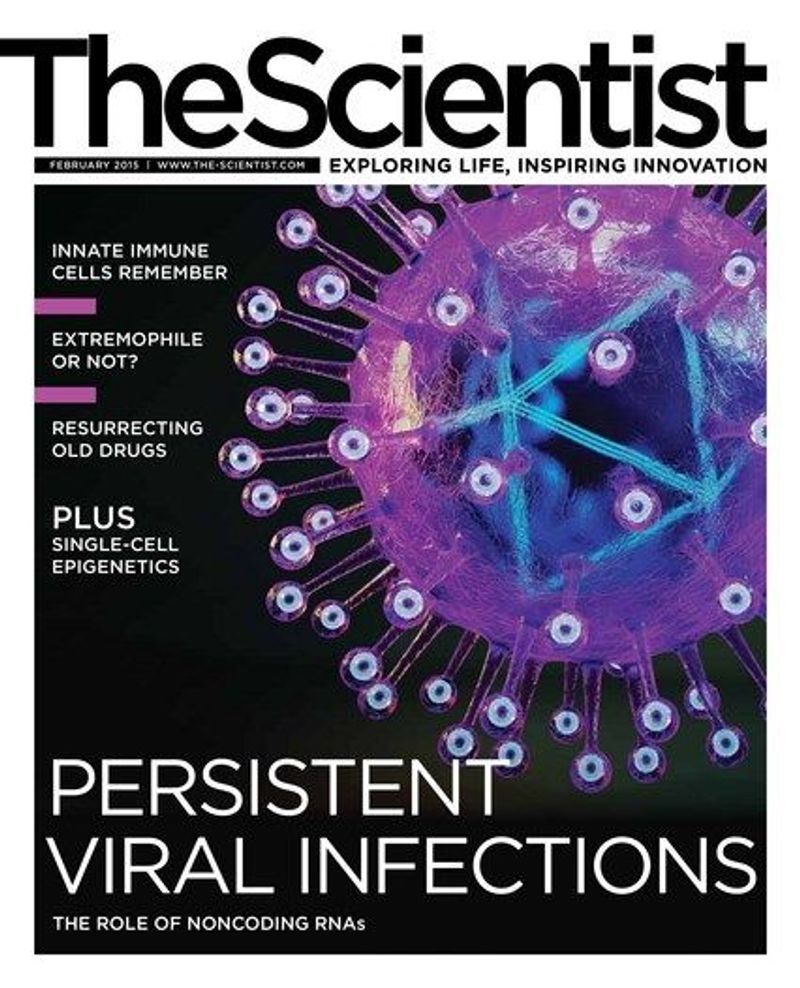 The Scientist Magazine Issue | February 2015 | Persistent Viral ...