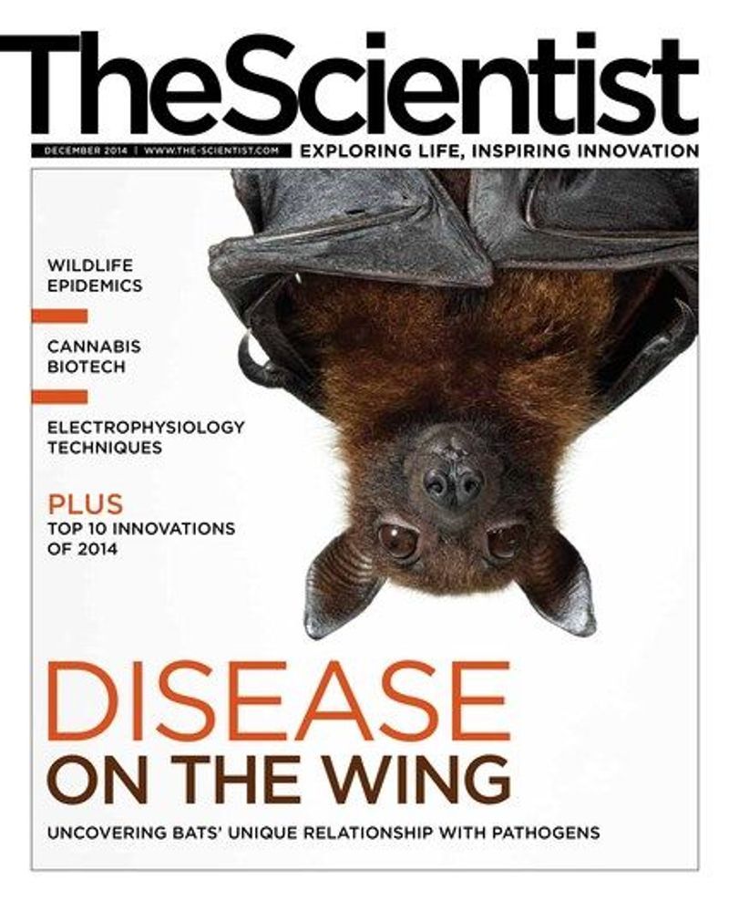 The Scientist Magazine Issue | December 2014 | Disease on the Wing ...