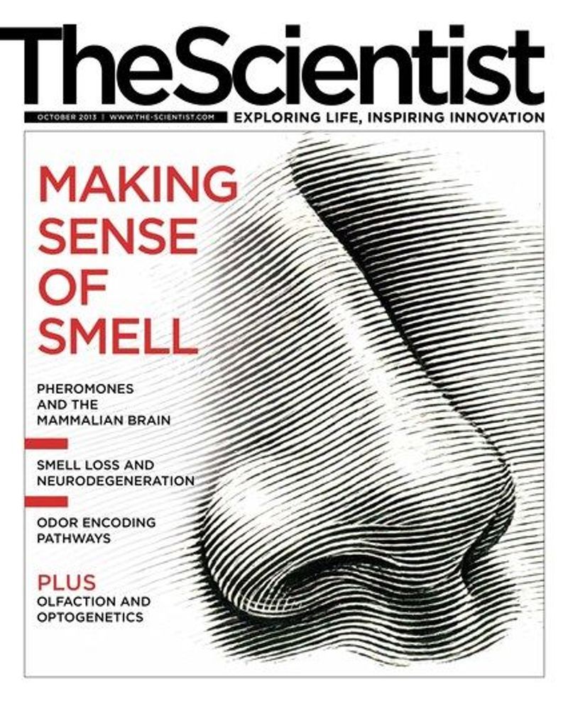 The Scientist Magazine Issue | October 2013 | Making Sense of Smell ...