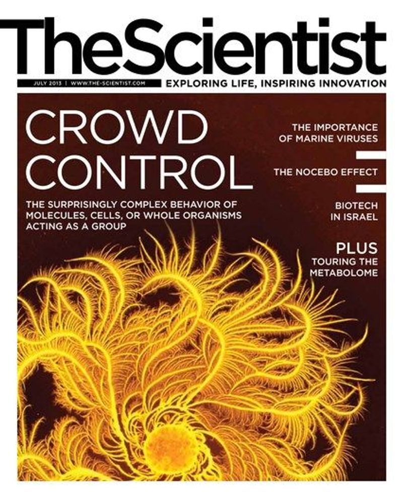The Scientist Magazine Issue | July 2013 | Crowd Control | The Scientist