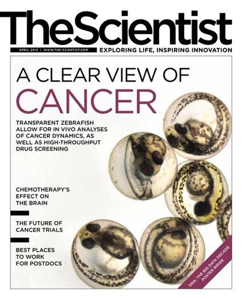 The Scientist Magazine Issue | April 2013 | A Clear View of Cancer ...