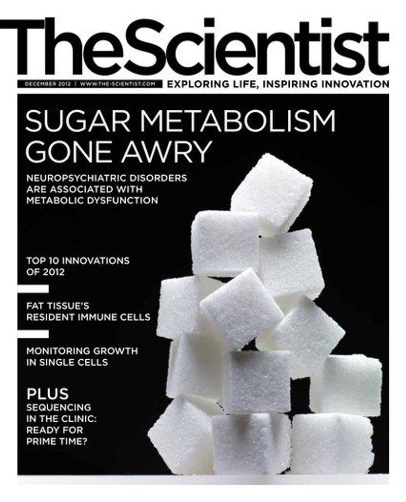 The Scientist Magazine Issue | December 2012 | Sugar Metabolism Gone ...
