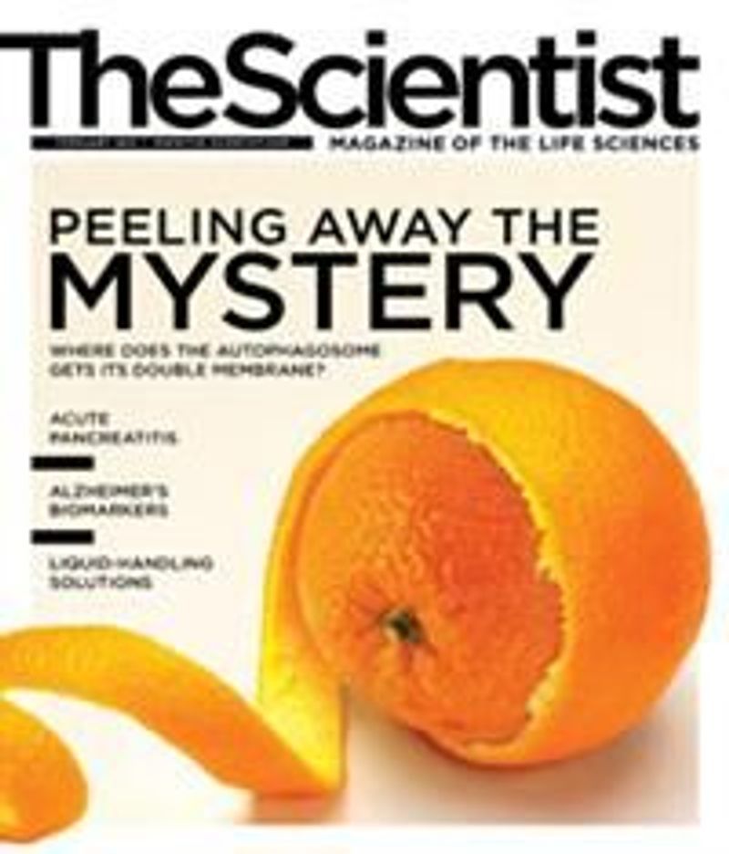 The Scientist Magazine Issue | February 2012 | February 2012 | The ...