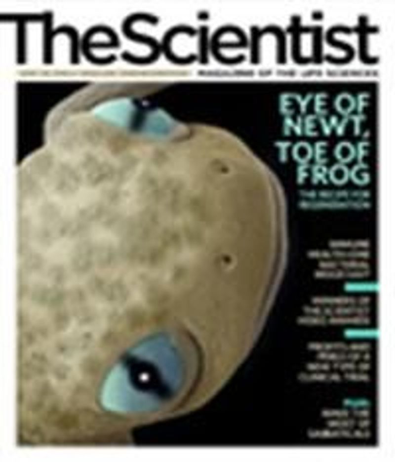 The Scientist Magazine Issue | August 2009 | August 2009 | The Scientist