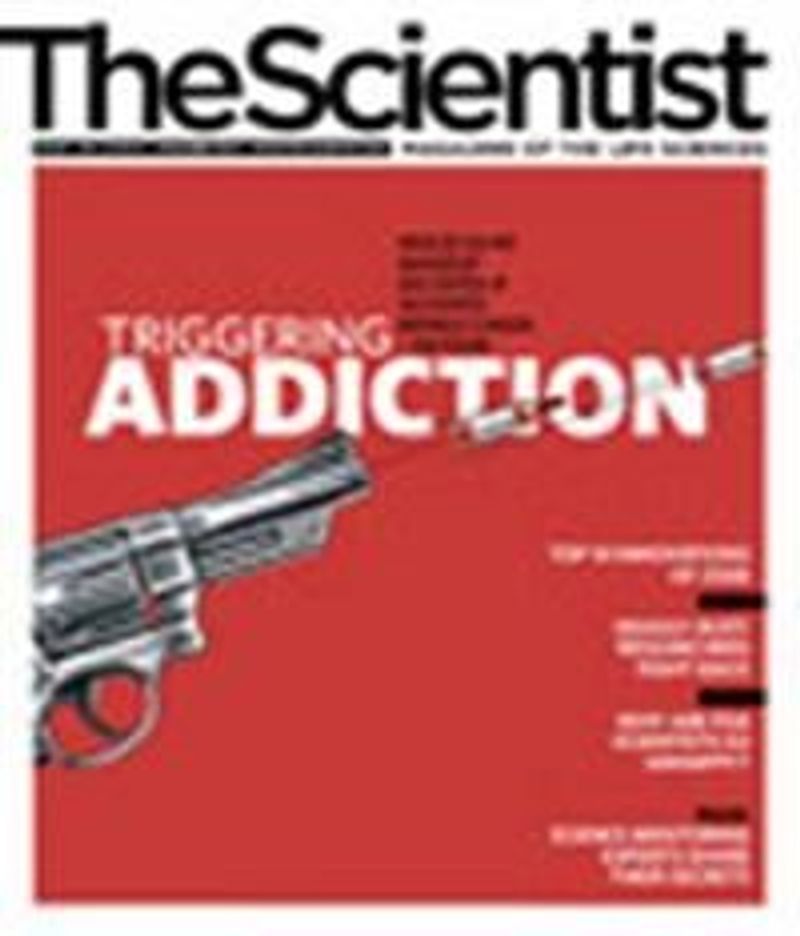 The Scientist Magazine Issue | December 2008 | December 2008 | The ...