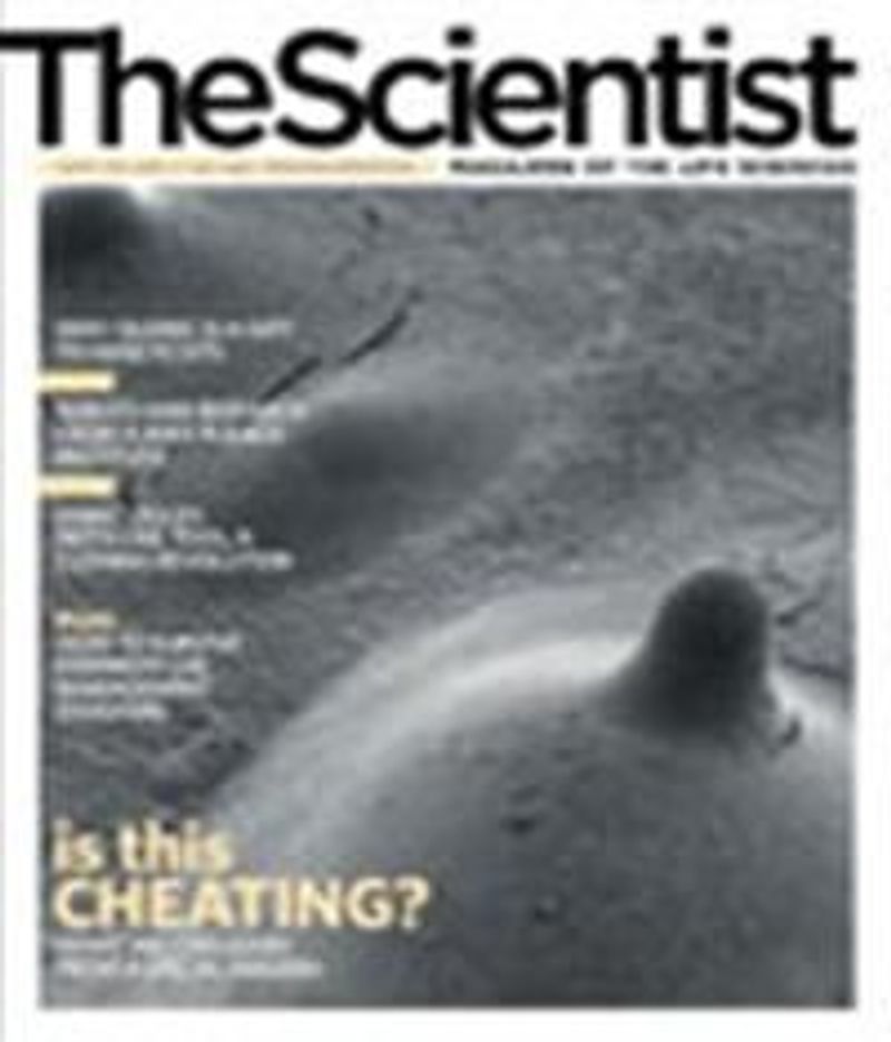The Scientist Magazine Issue | July 2008 | July 2008 | The Scientist