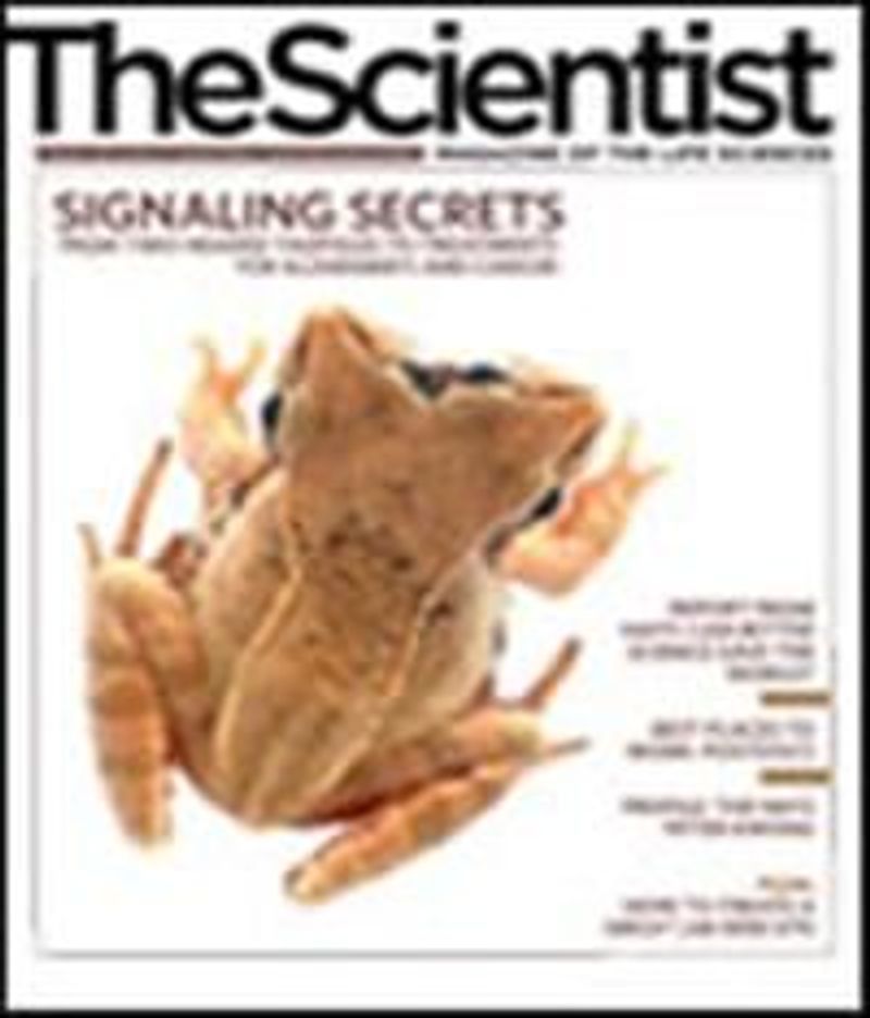 The Scientist Magazine Issue | March 2008 | March 2008 | The Scientist