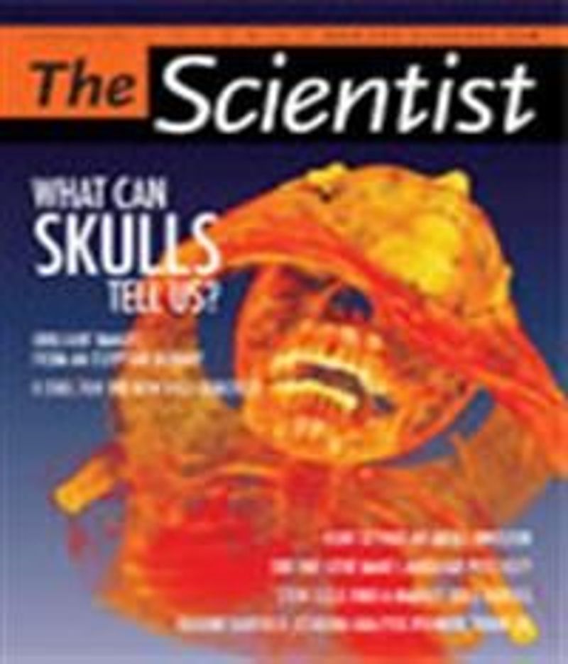 The Scientist Magazine Issue | October 2005 | October 2005 | The Scientist