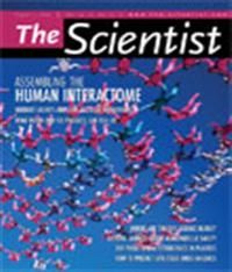 The Scientist Magazine Issue | August 2005 | August 2005 | The Scientist