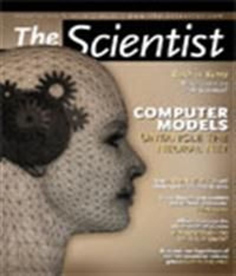 The Scientist Magazine Issue | October 2004 | October 2004 | The Scientist