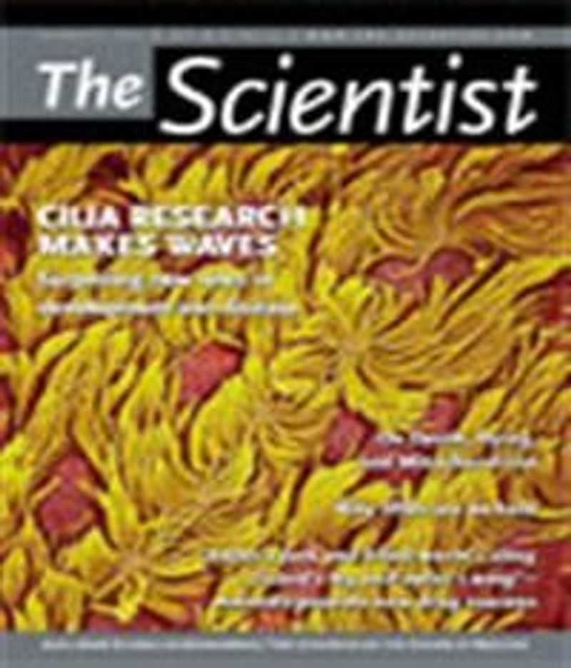 The Scientist Magazine Issue | October 2004 | October 2004 | The Scientist