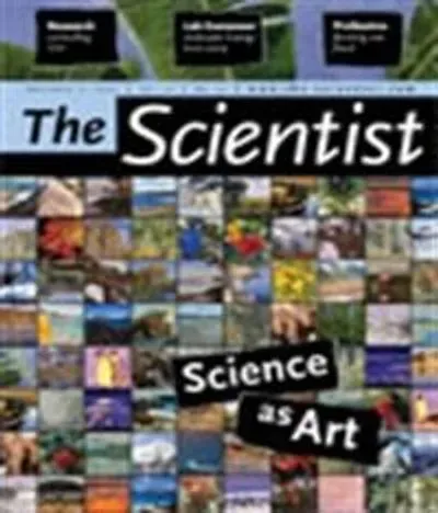 Queen Bee ... Pro ... and Con | The Scientist