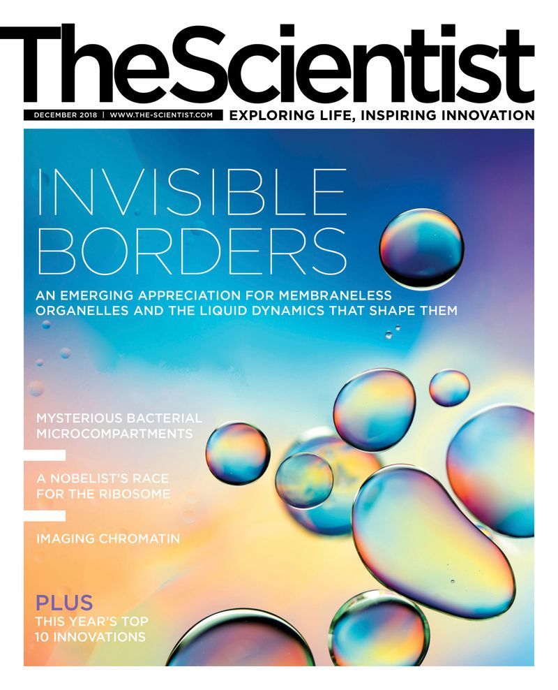 The Scientist Magazine Issue | December 2018 | Invisible Borders | The ...